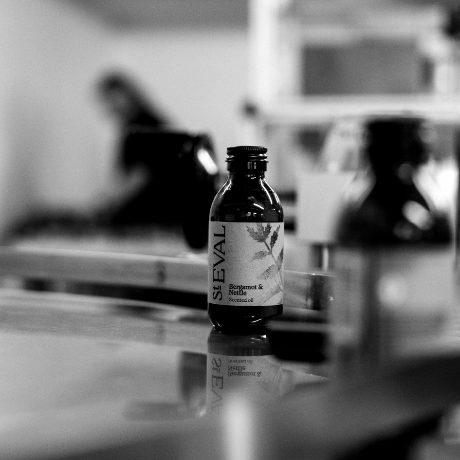 Celebrating B Corp Month with St Eval – ST. EVAL