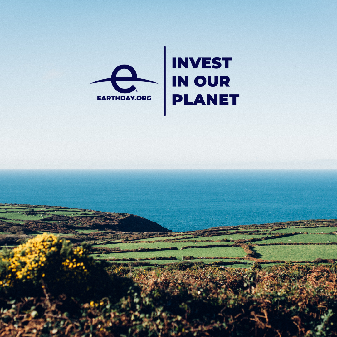 Earth Day 2022 | Simple Acts of Green – ST. EVAL