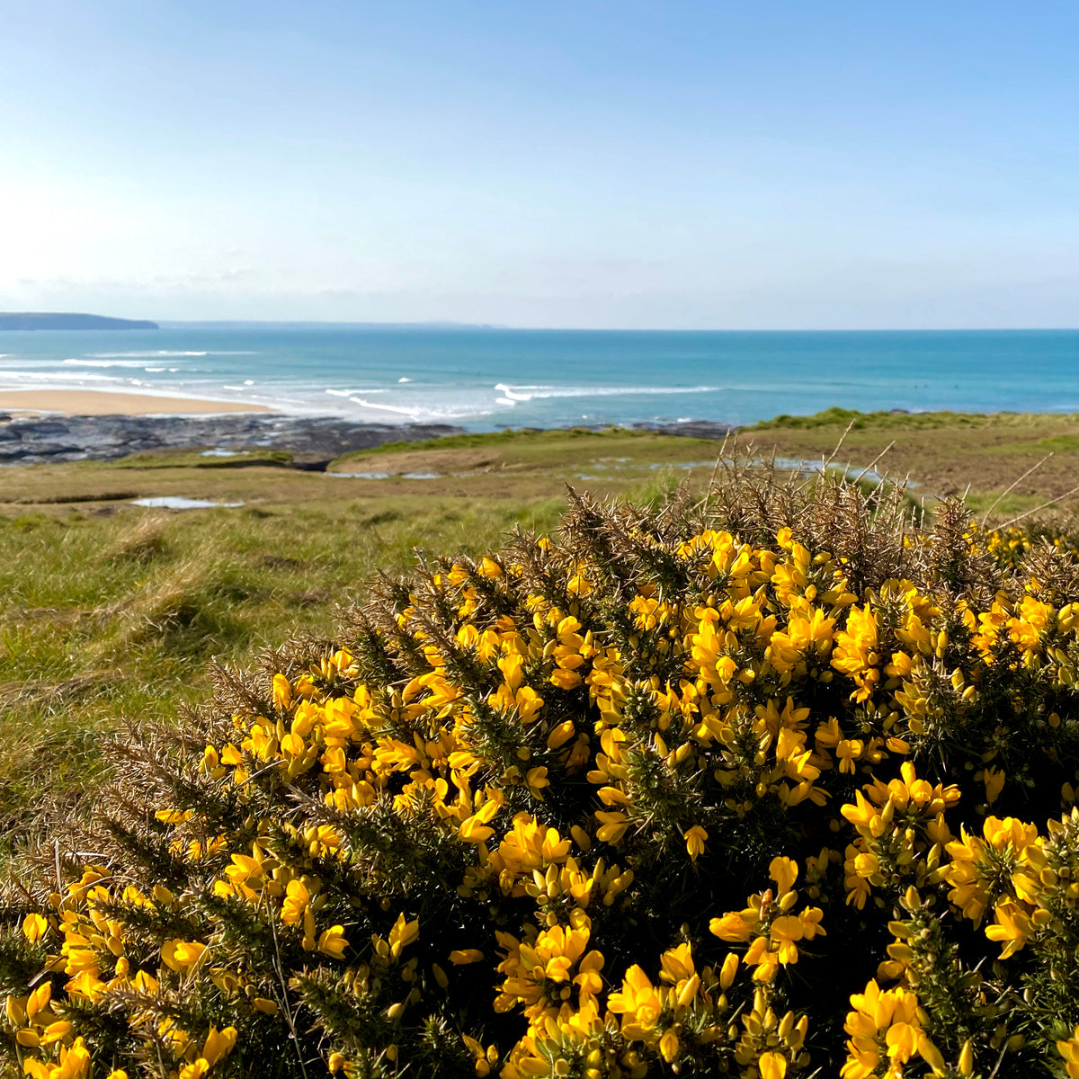 Spring in Cornwall– St Eval