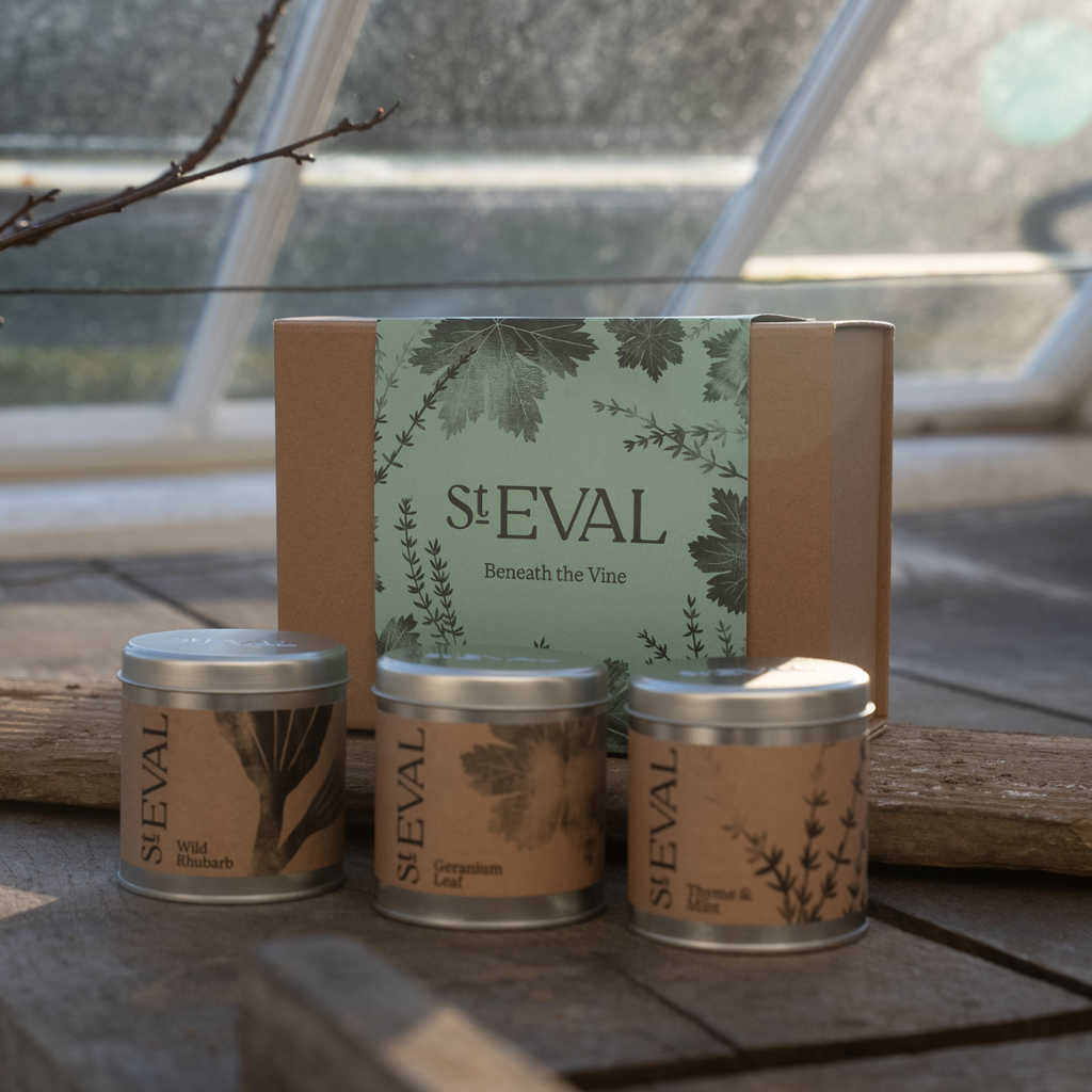 Beneath the Vine Gift Set – ST. EVAL