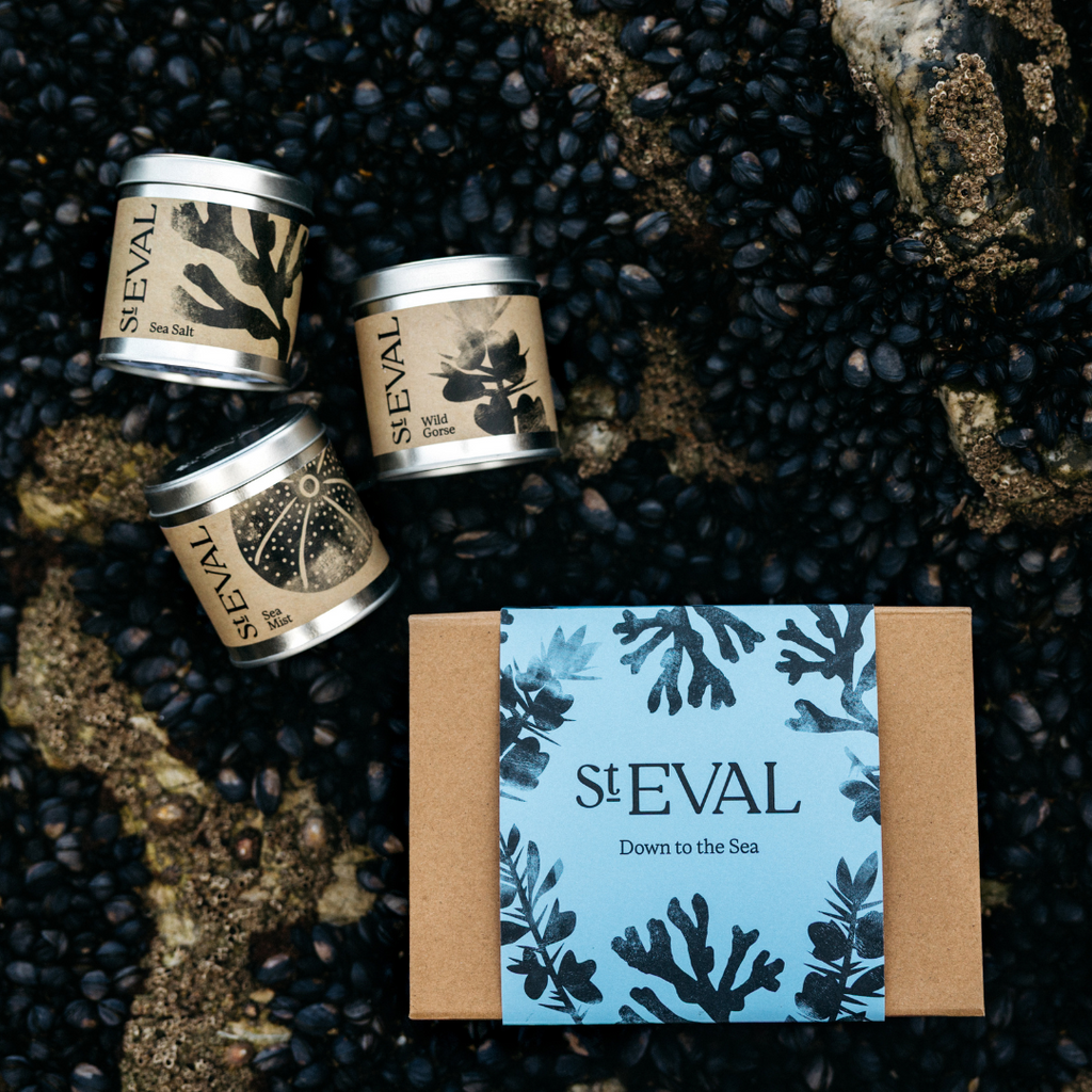 Down to the Sea Gift Set – ST. EVAL