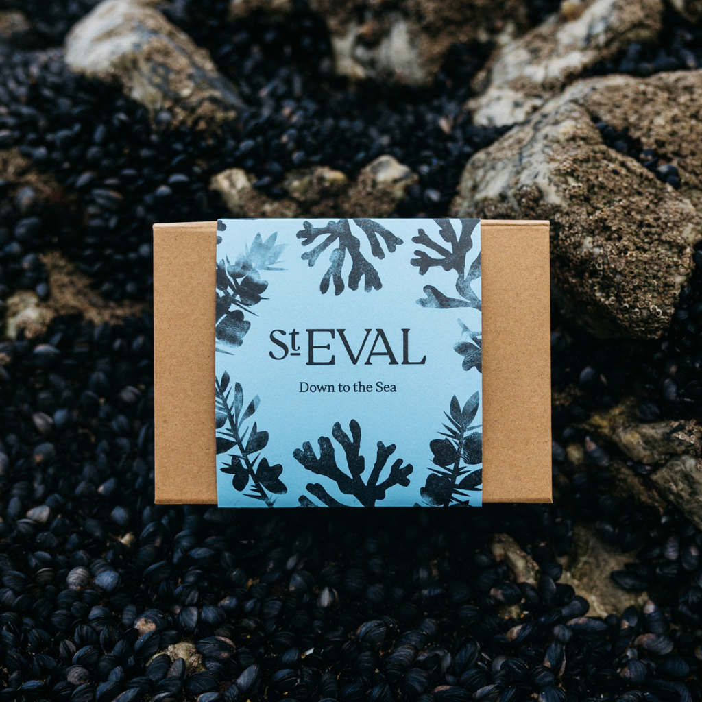 Down to the Sea Gift Set – ST. EVAL