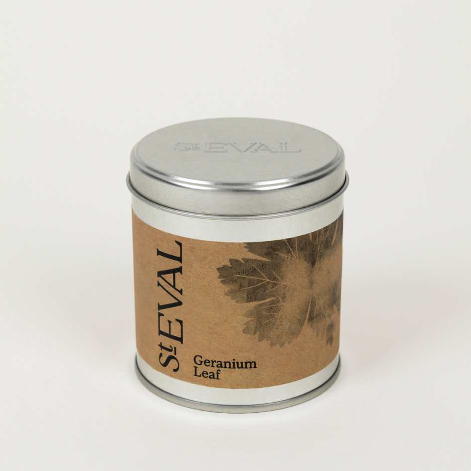 Geranium Leaf, Scented Tin Candle – ST. EVAL