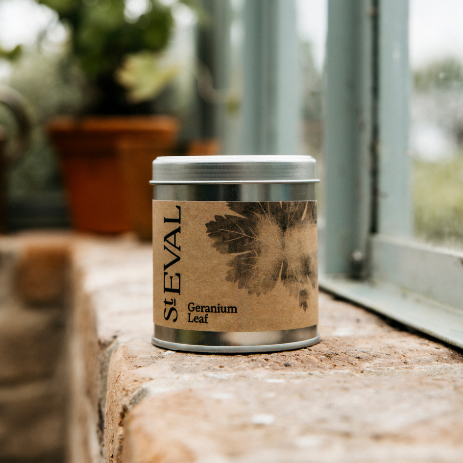 Geranium Leaf, Scented Tin Candle – ST. EVAL