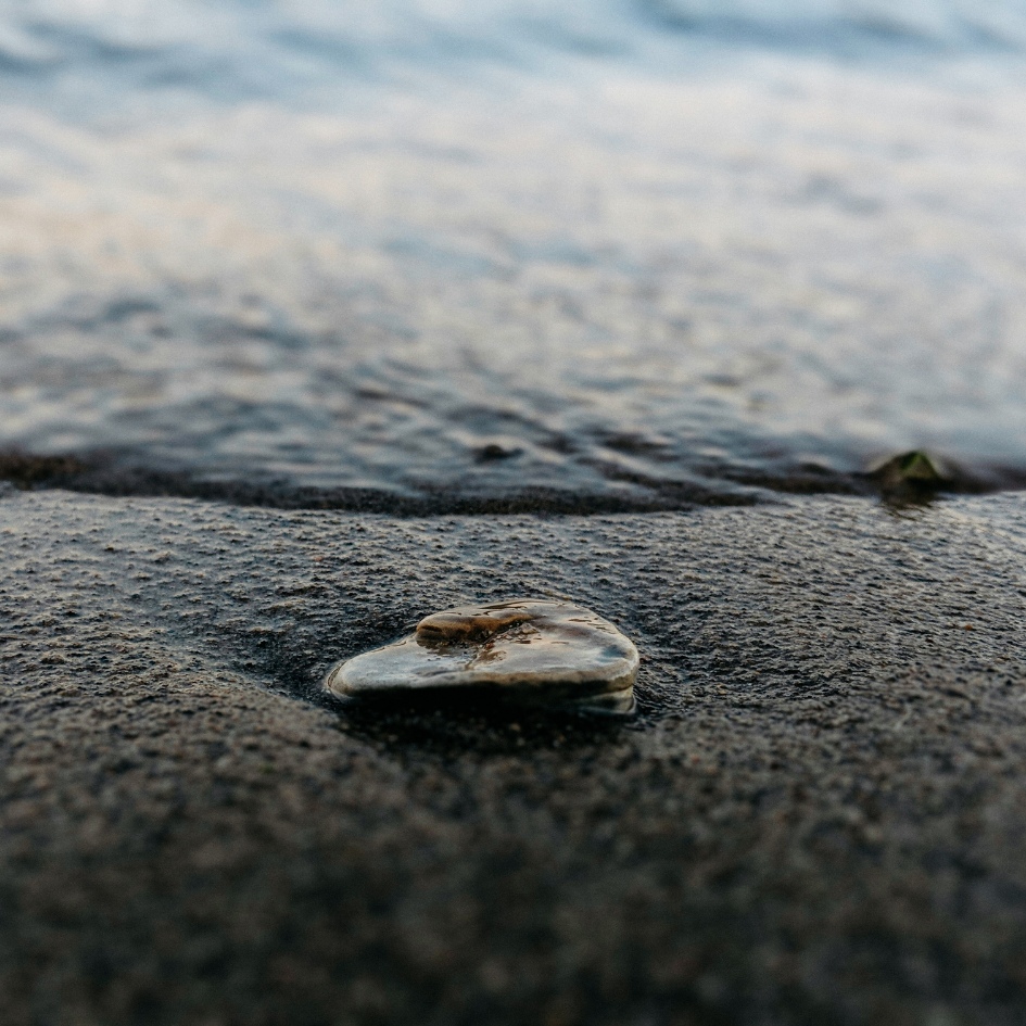 Sea Mist, Diffuser Refill – ST. EVAL