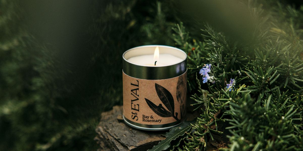 Reed Diffusers – Page 2 – ST. EVAL